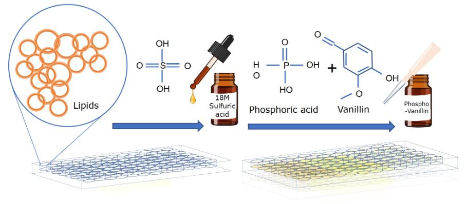 Mayflower Bioscience: Lipid Quantification Assay